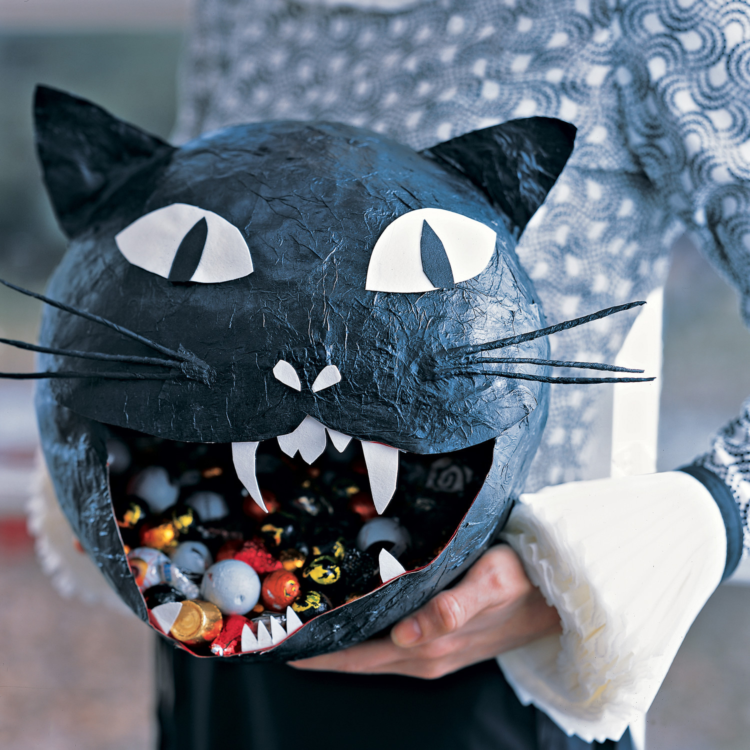 Black Cats Mean Bad Luck They Don t And Other Halloween Myths black-cats-mean-bad-luck-they-don-t-and-other-halloween-myths