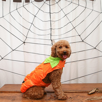 Pet Costumes | Martha Stewart