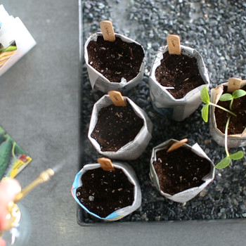 Container Garden Ideas | Martha Stewart