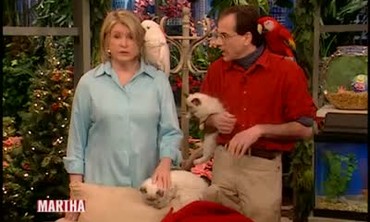 Video: Vacation Pet ID | Martha Stewart