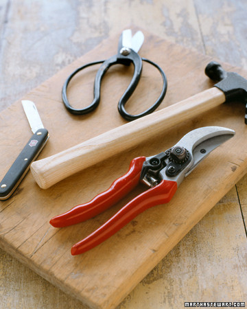 Cutting Garden Tool Kit | Martha Stewart