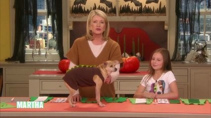 Wiener Dog Costume Dinosaur