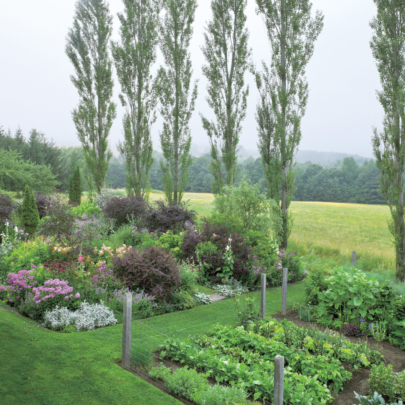 Community Garden Sources | Martha Stewart