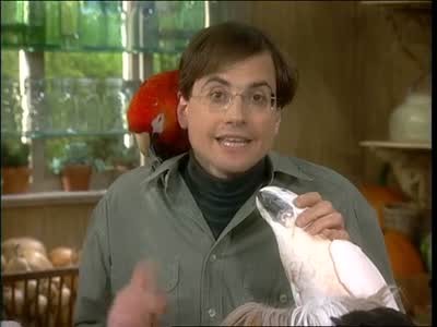 Video: Marc Morrone Talks Cats and Dogs | Martha Stewart