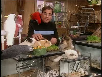 Video: The Best First Pets for Children | Martha Stewart