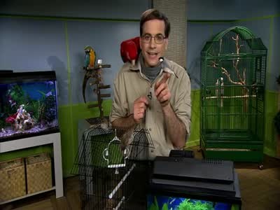 Video: Marc Morrone on Keeping Small Pets | Martha Stewart