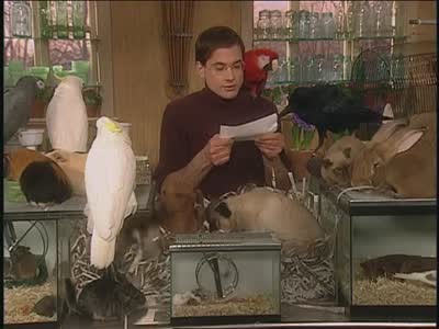 Video: Marc Morrone Answers Fans' Questions | Martha Stewart