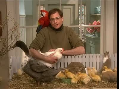 Video: Marc Marrone Gives Advice on Easter Pets | Martha Stewart