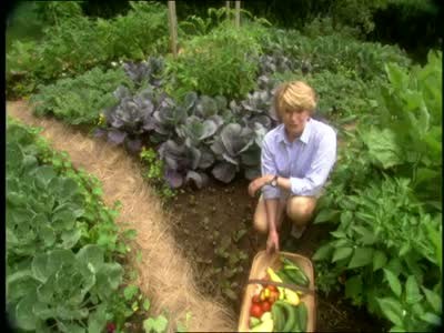 Video: How to Create a Productive and Beautiful Garden | Martha Stewart
