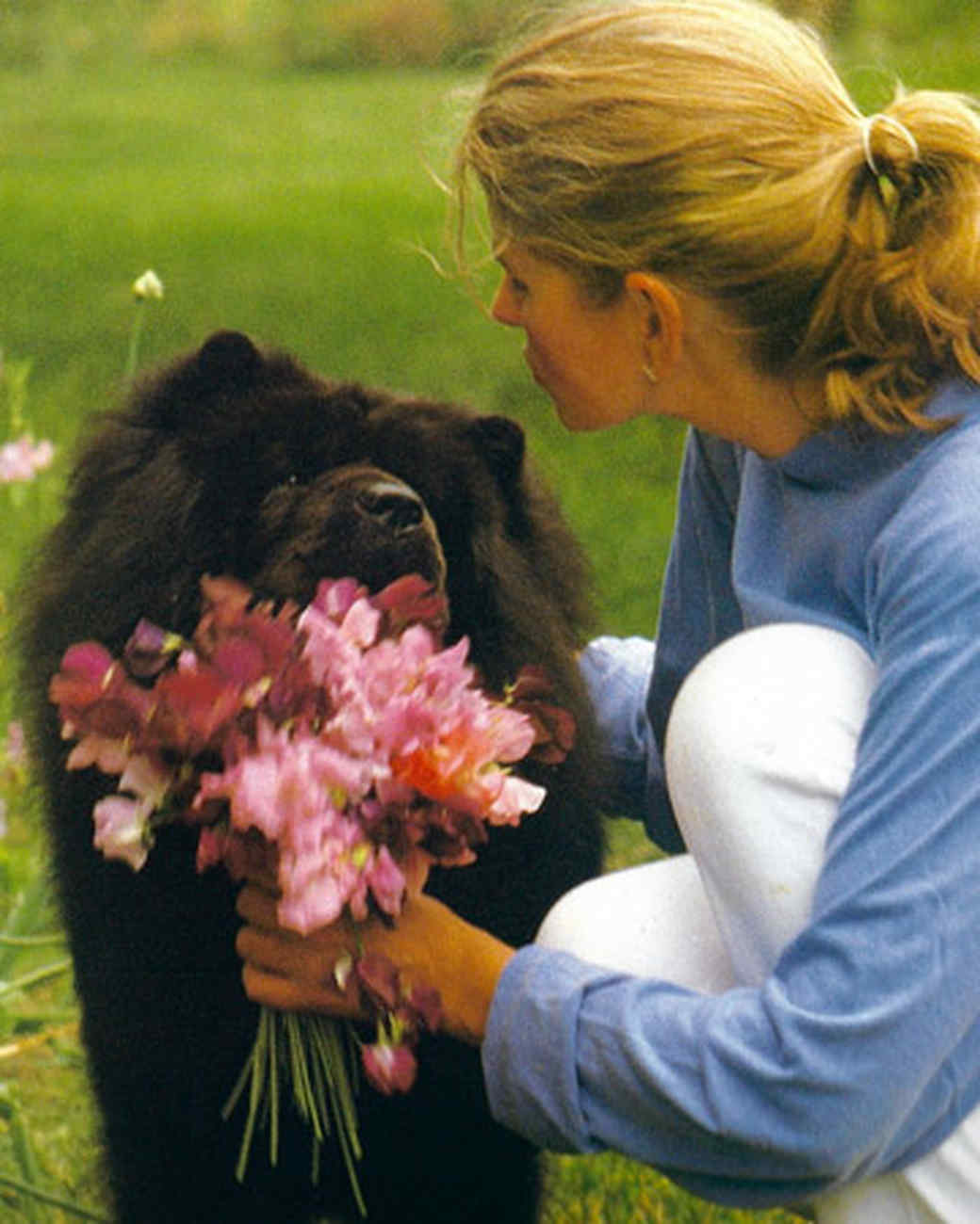 Martha Stewart's Pets Over the Years | Martha Stewart