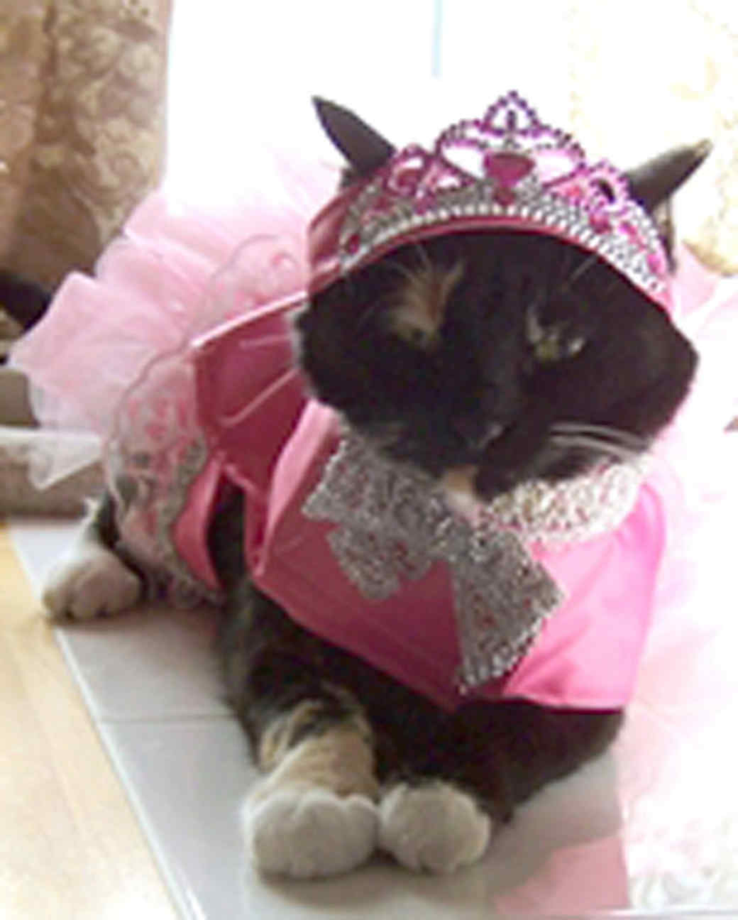 Your Pets in Spring Outfits | Martha Stewart