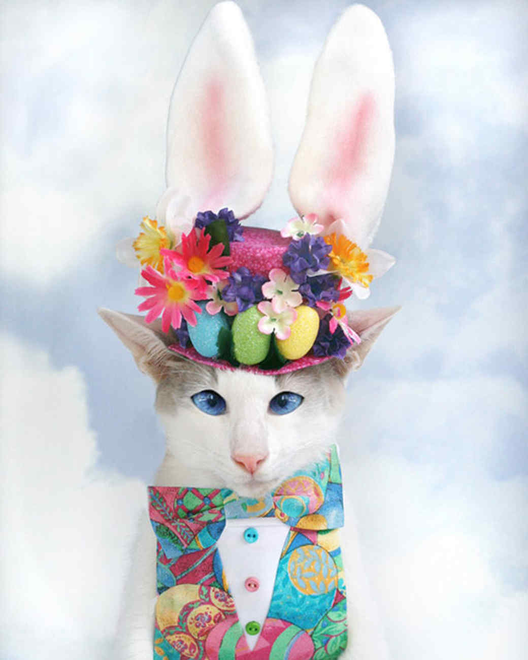 Your Pets in Spring Outfits | Martha Stewart