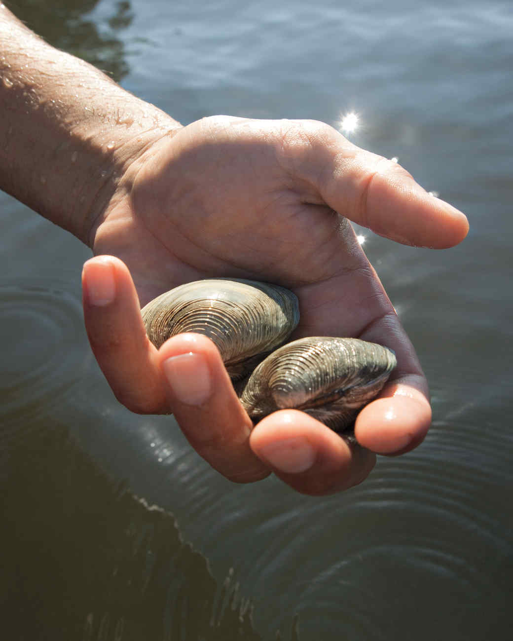 A Rhode Island Clam Dig | Martha Stewart
