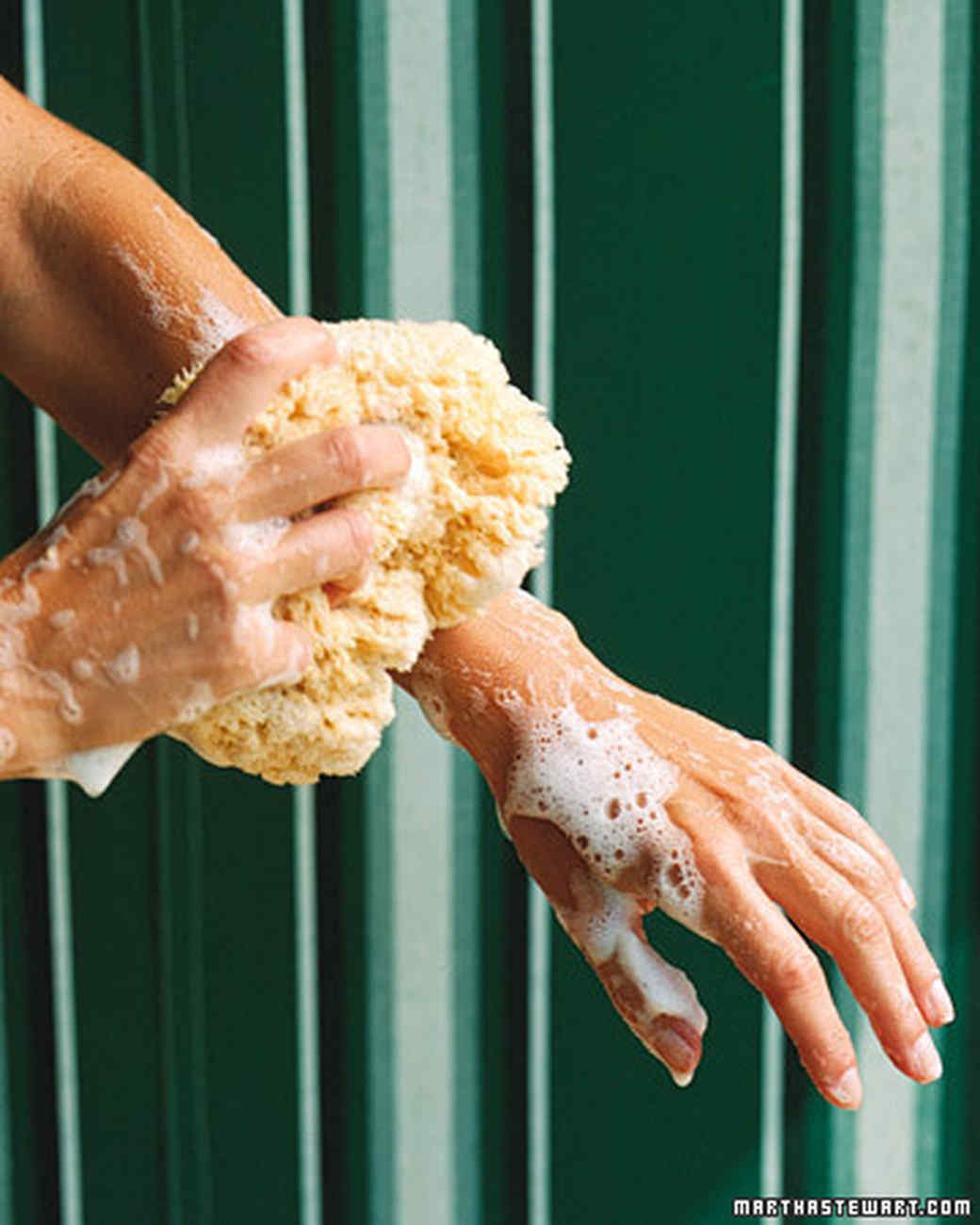 Soap In A Sponge Martha Stewart
