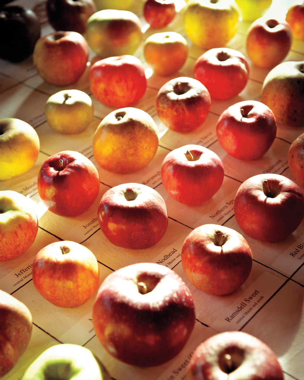 Ancestral Apples | Martha Stewart