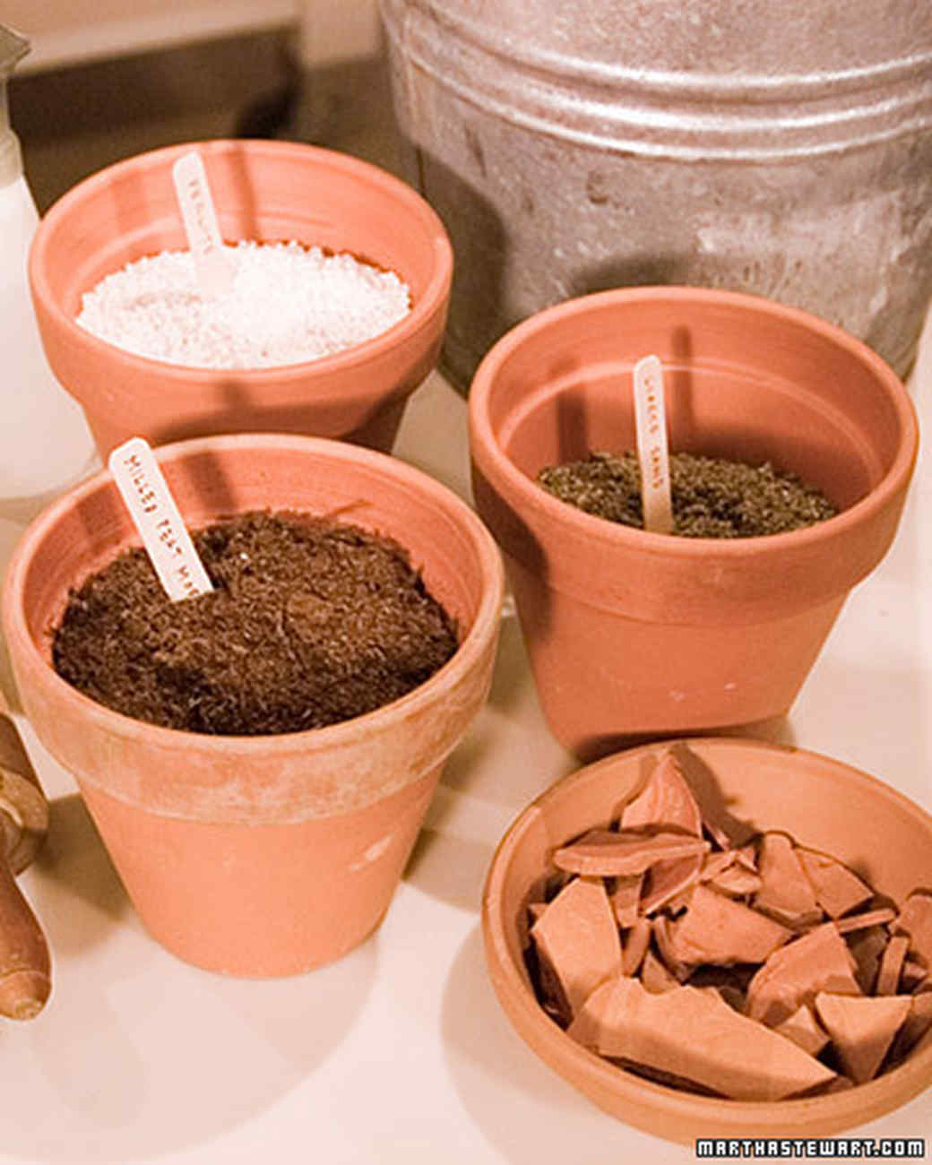 Making Seed Compost | Martha Stewart